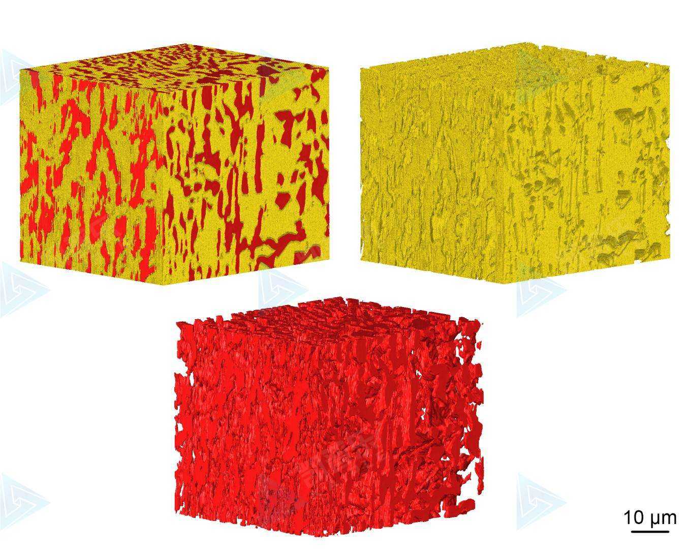 三维重构切片及数据采集