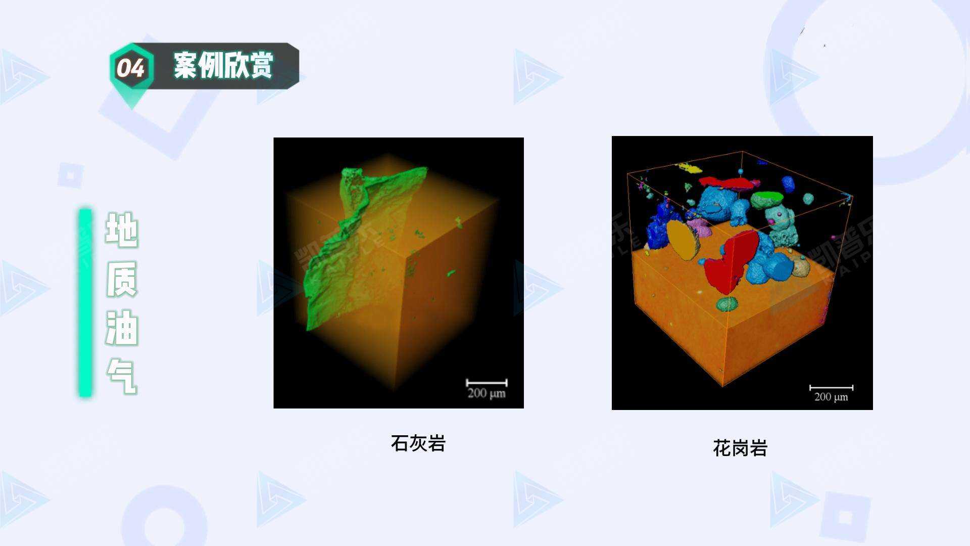 Mirco-CT三维成像